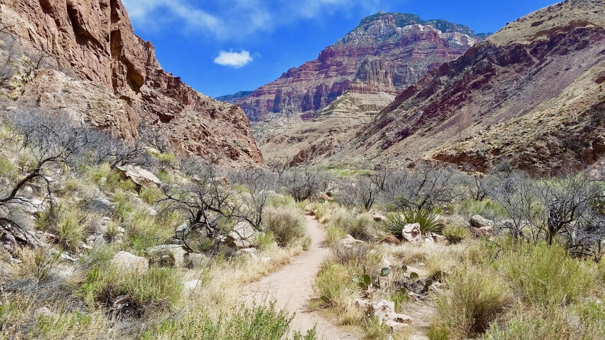 The Grandest of Canyons – Alison the Adventurer